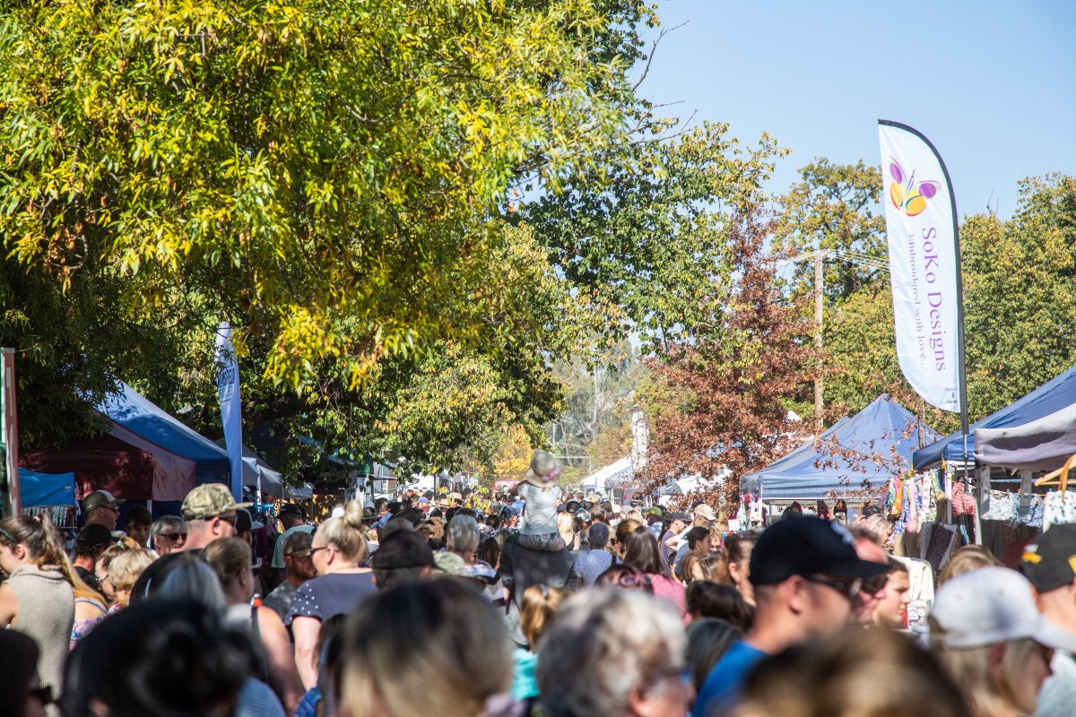 Apply to Mansfield Bush Market