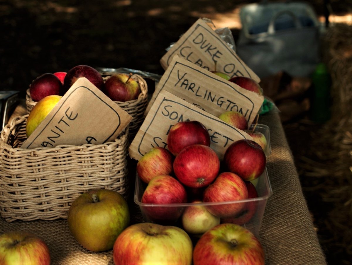 Apply to Hill and Ridge Community Market