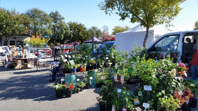 Apply to Tunstall Square Sunday Market