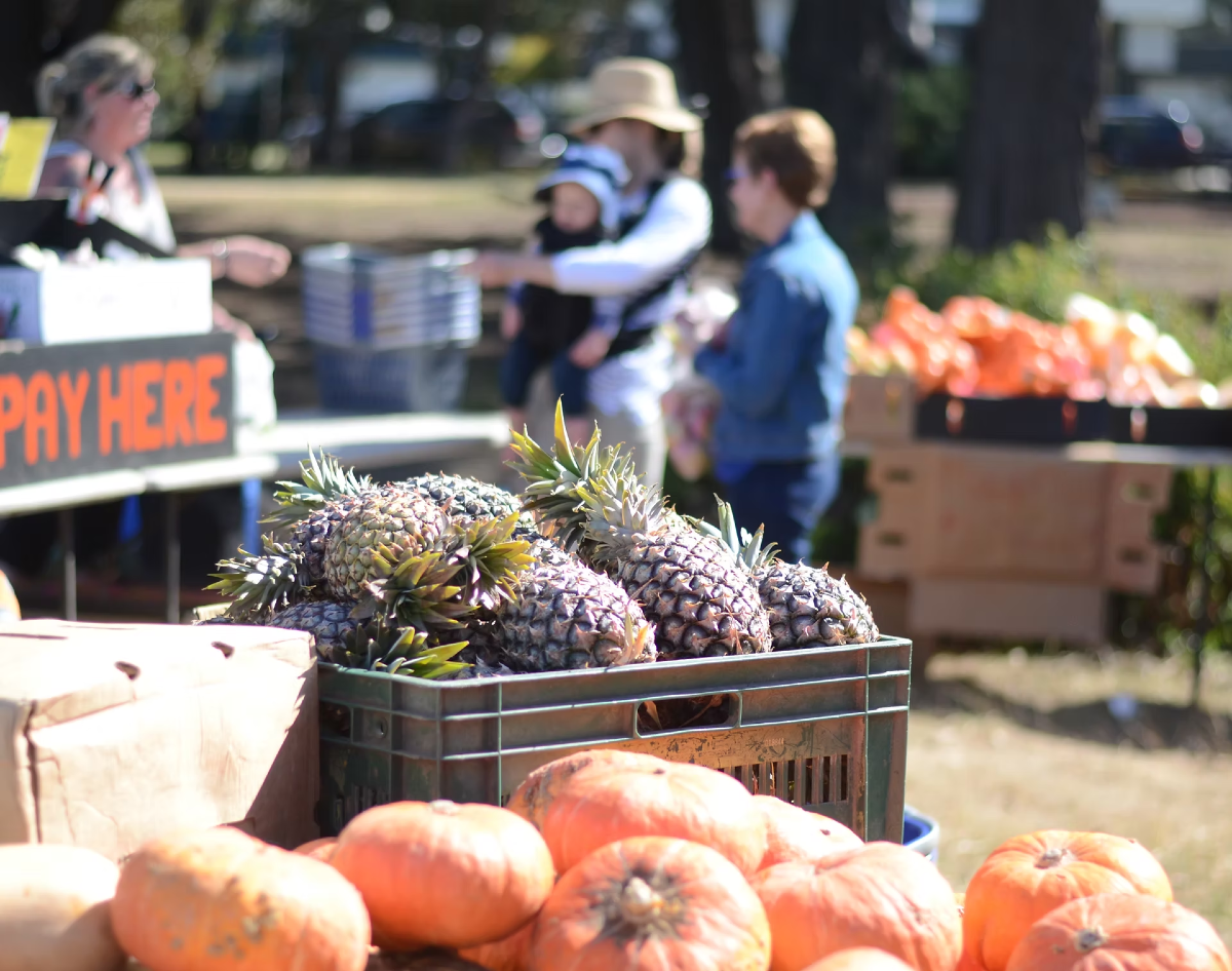 Apply to Rotary Club of Ocean Grove